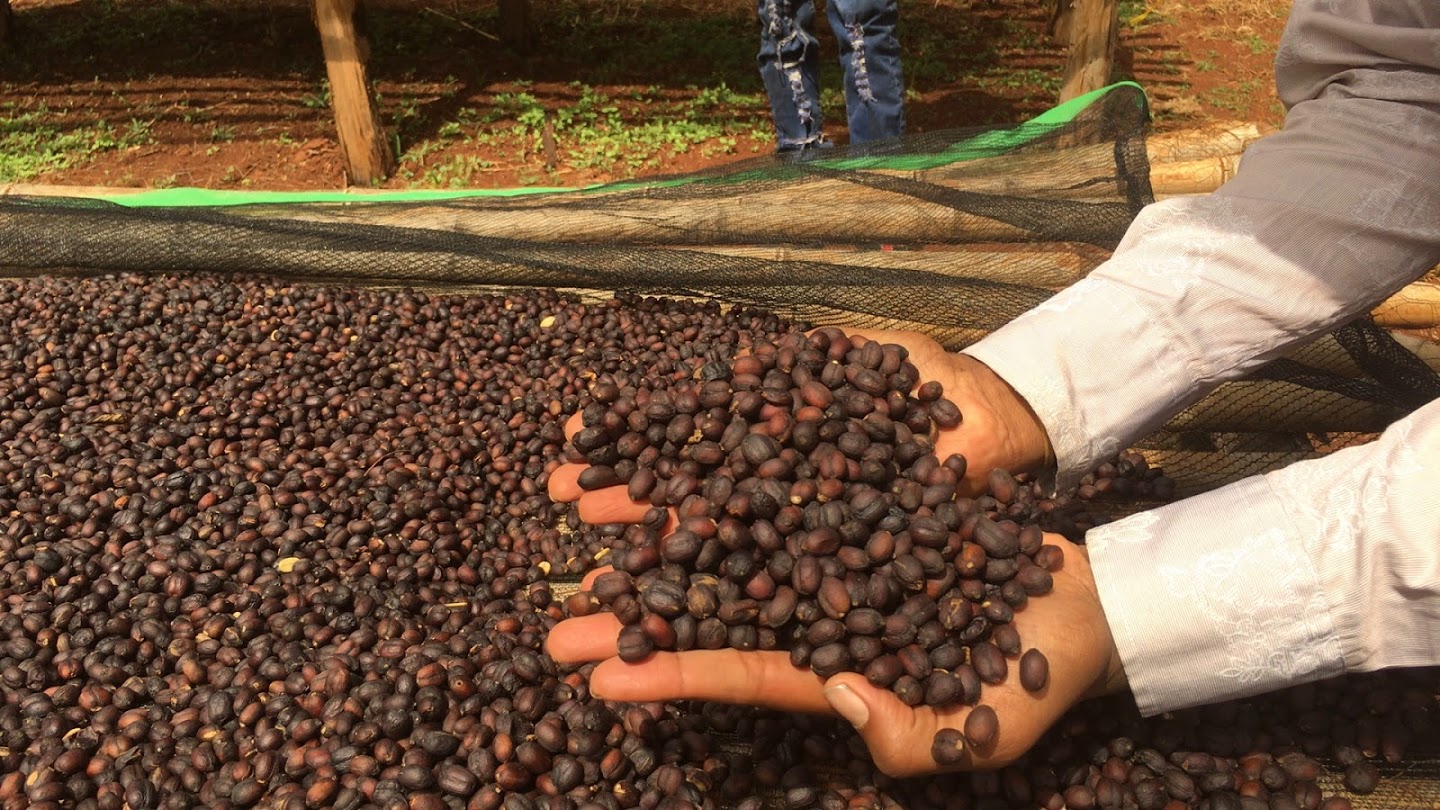 Dumerso Coffee Beans | Ozarka Farms Country Market